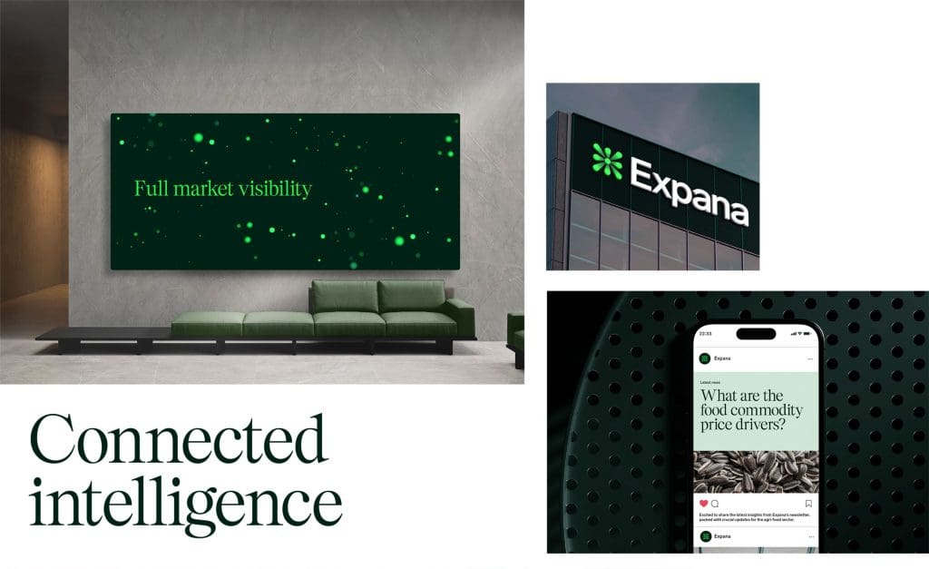 Expana | Brandpie