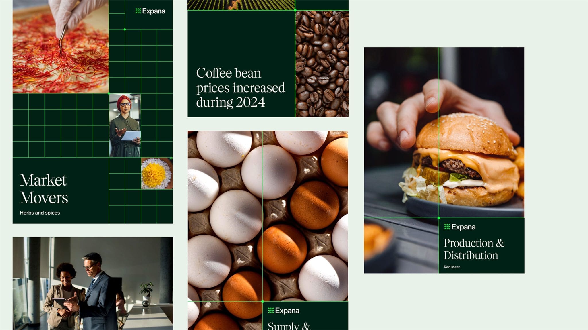 Expana | Brandpie